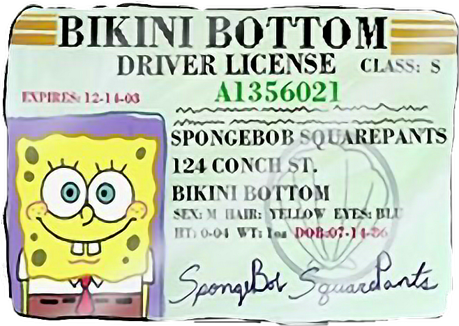 Boating License Spongebob Sticker By sweetpeaarianna